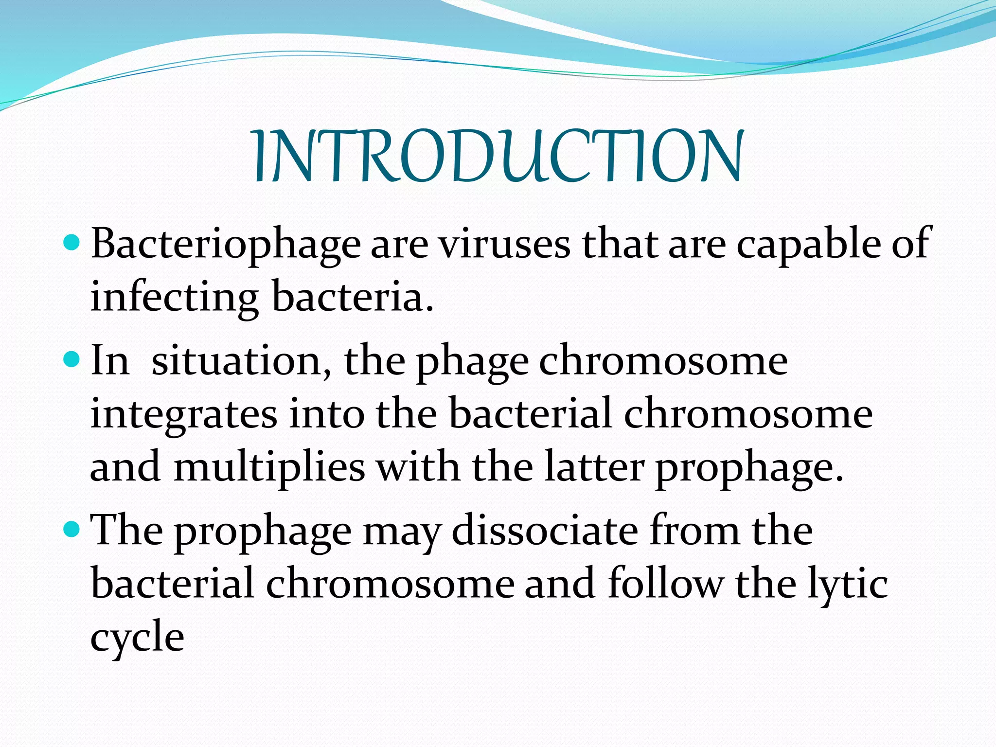 Phage vector bacteriophage | PPTX