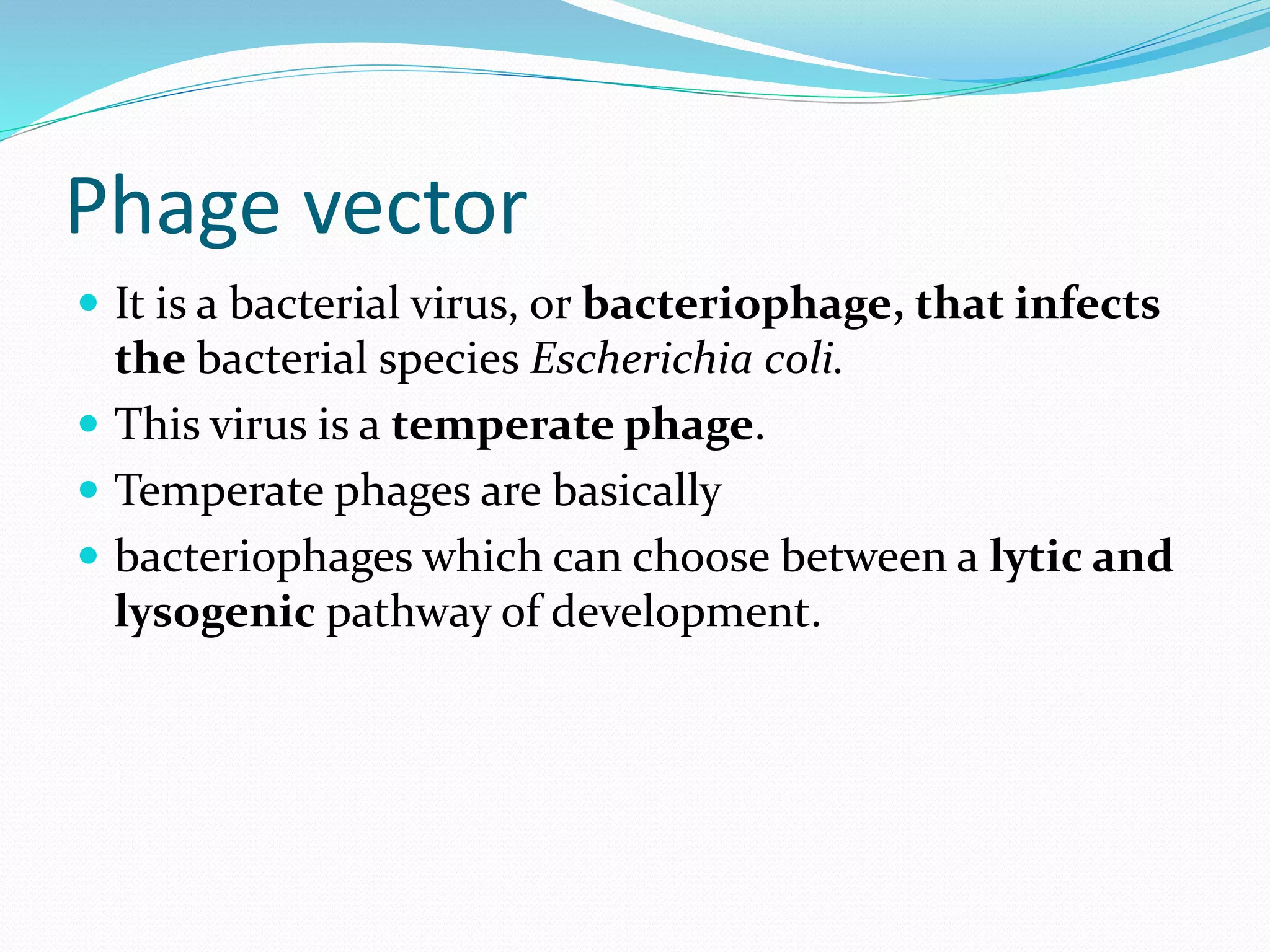 Phage vector bacteriophage | PPTX