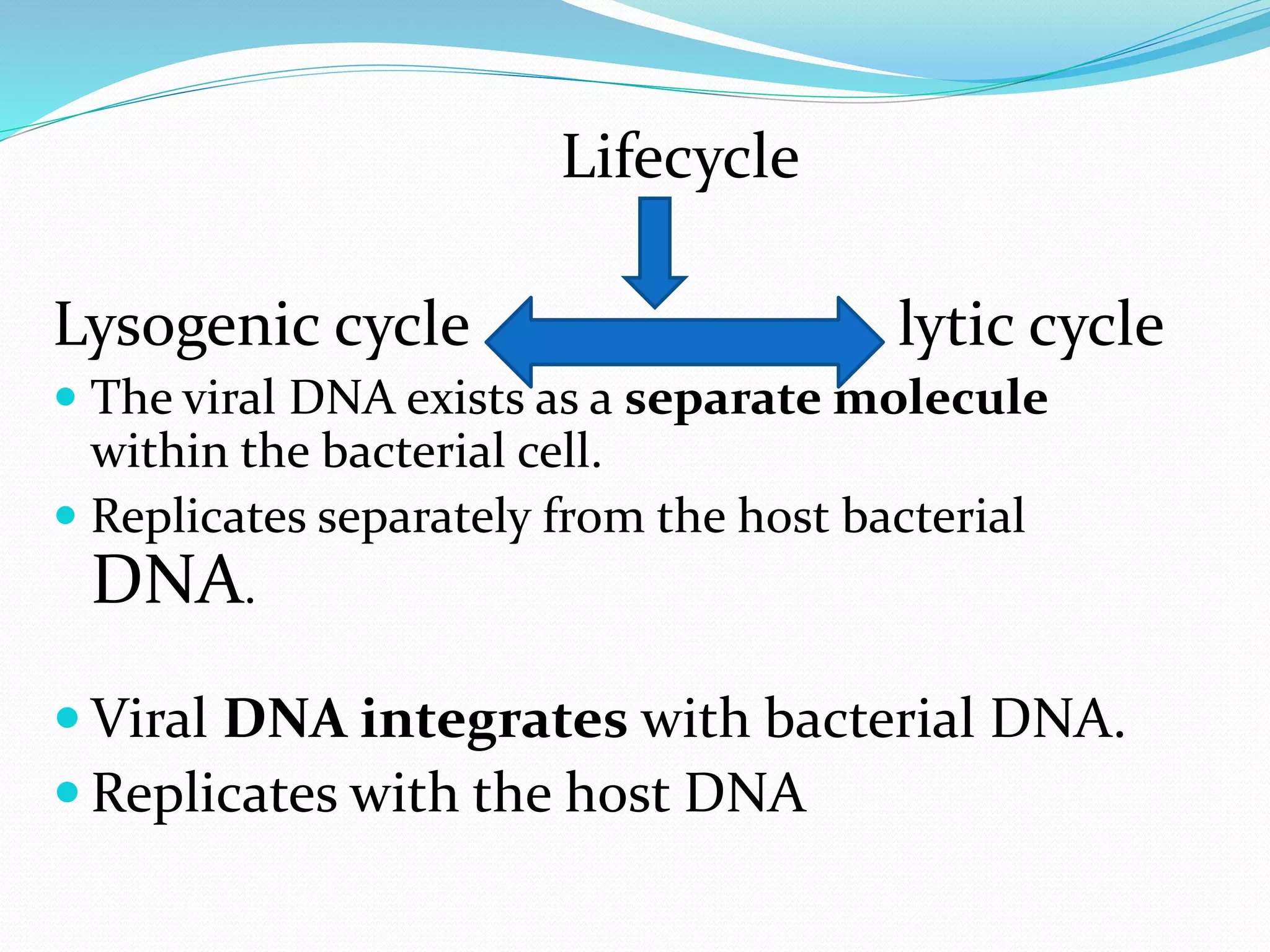 Phage vector bacteriophage | PPTX