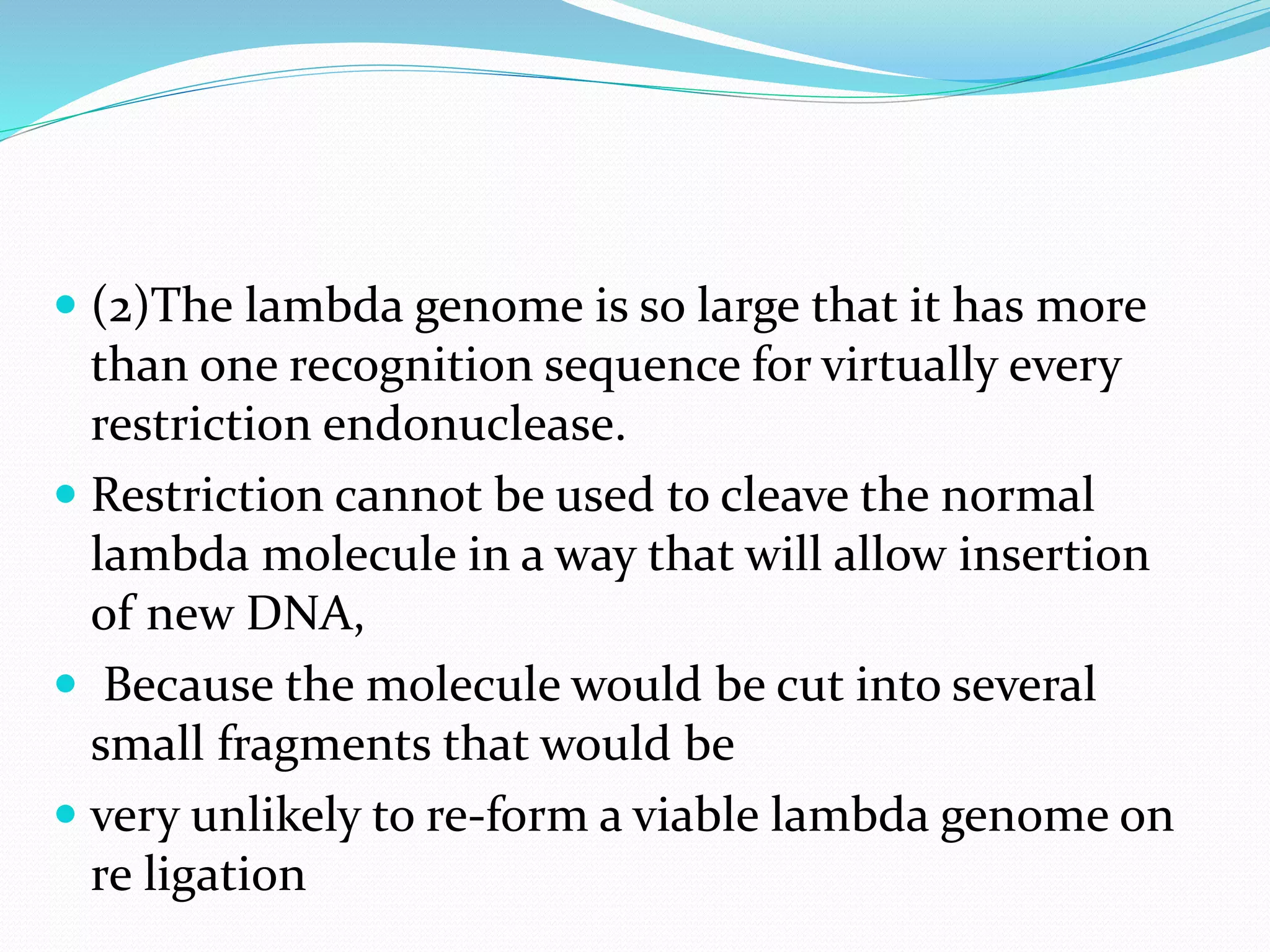 Phage vector bacteriophage | PPTX