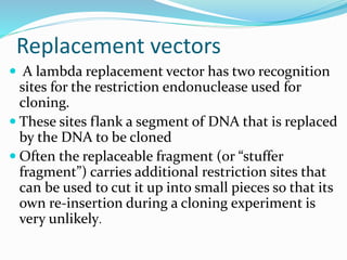 Phage vector bacteriophage | PPTX