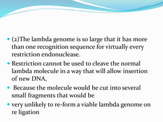 Phage vector bacteriophage | PPTX
