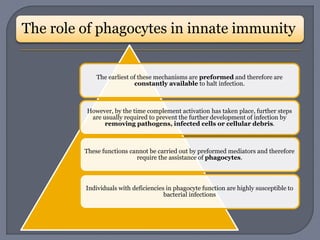 Phagocytosis: Physiology and Biochemistry | PPTX