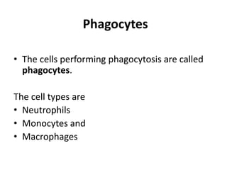 Phagocytosis | PPTX