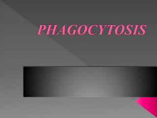 Phagocytosis | PPTX