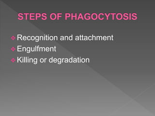 Phagocytosis | PPTX