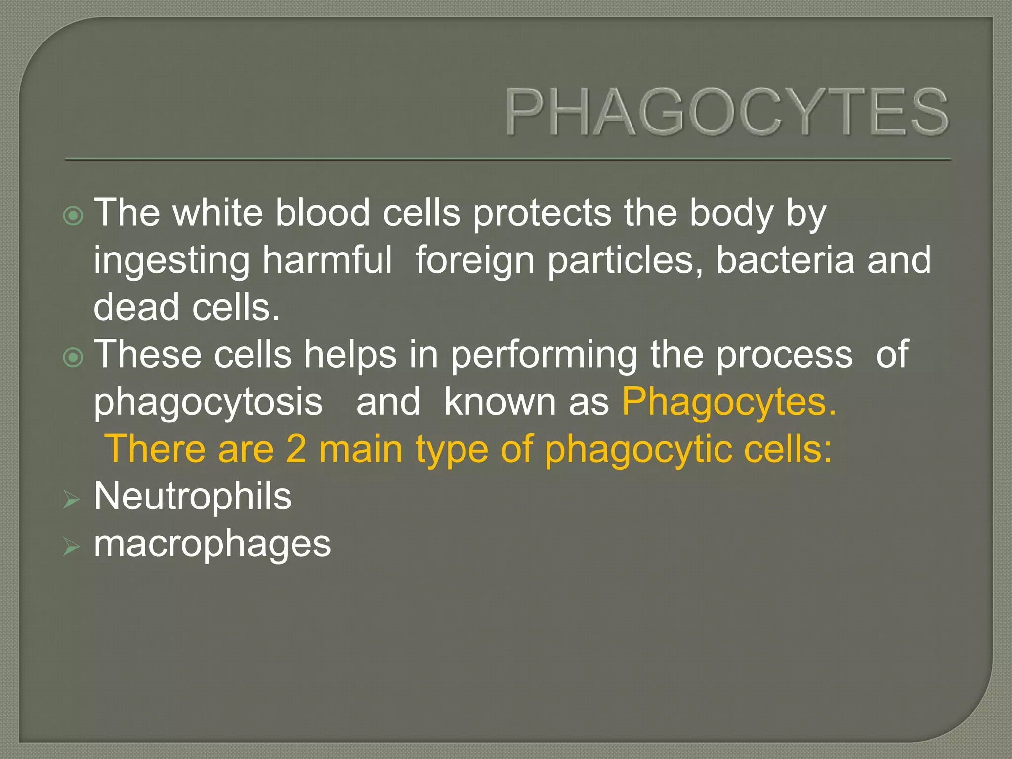 Phagocytosis | PPTX