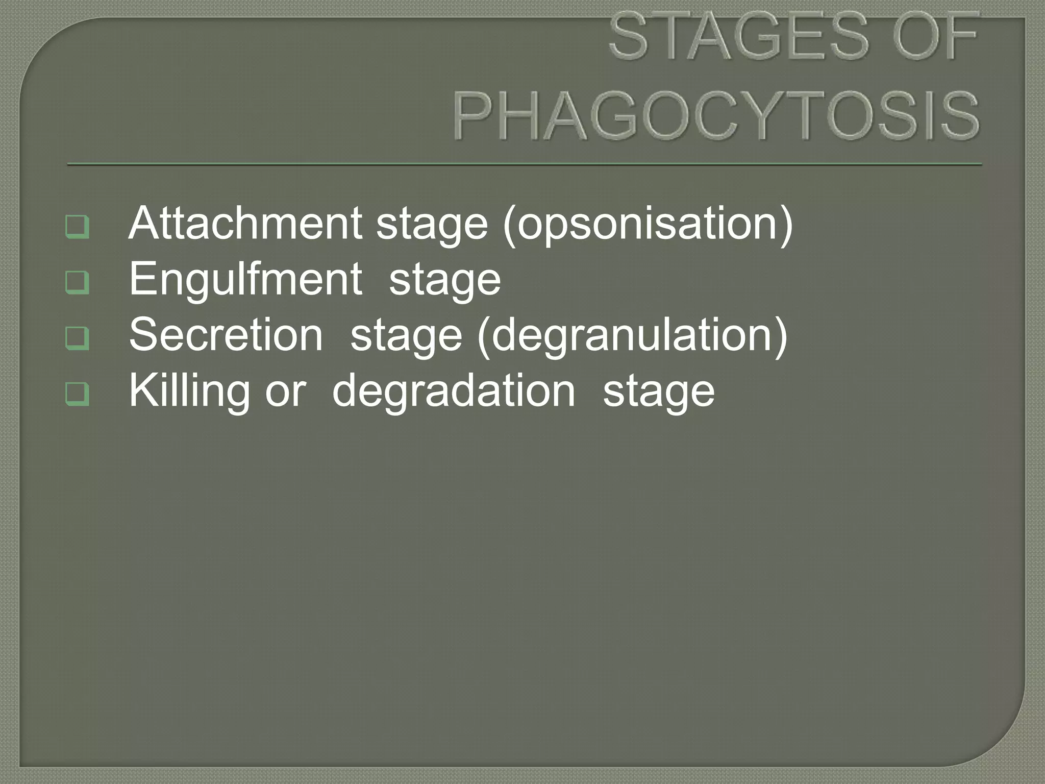 Phagocytosis | PPTX