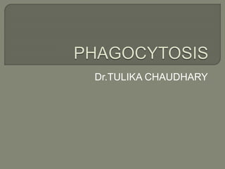 Phagocytosis | PPTX