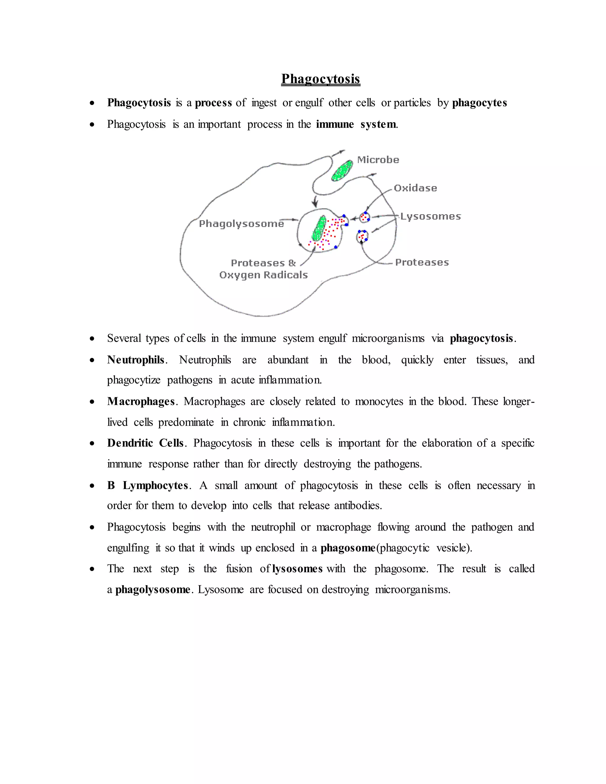 Phagocytosis | DOCX