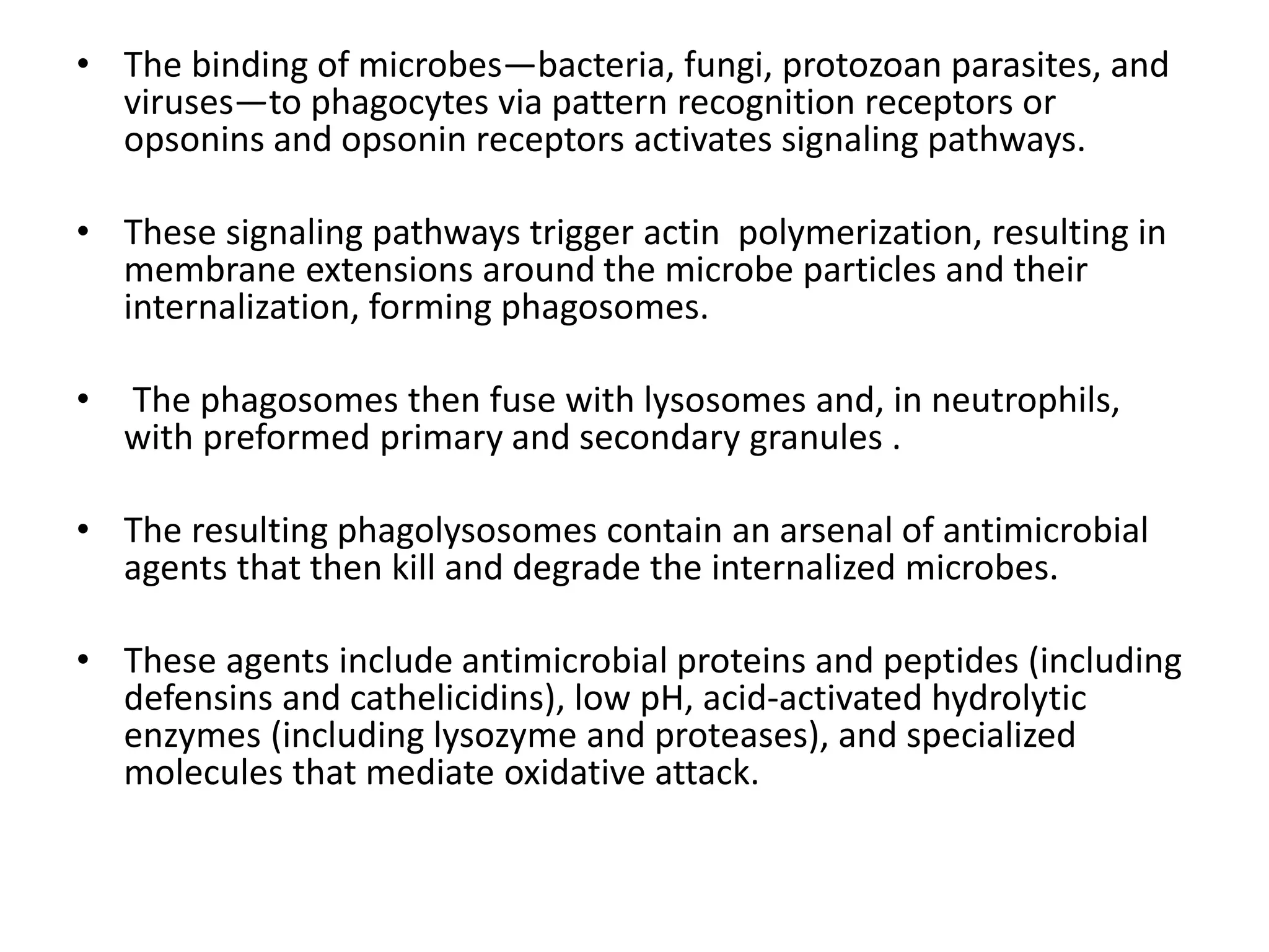 Phagocytosis.pptx | Chemistry | Science