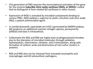 Phagocytosis.pptx | Chemistry | Science
