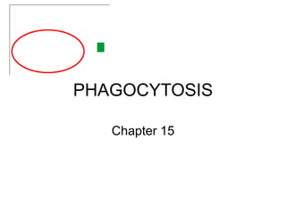 TOPIC PHAGOCYTOSIS SYSTEM IN IMMUNITY.ppt