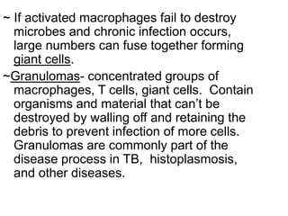 TOPIC PHAGOCYTOSIS SYSTEM IN IMMUNITY.ppt