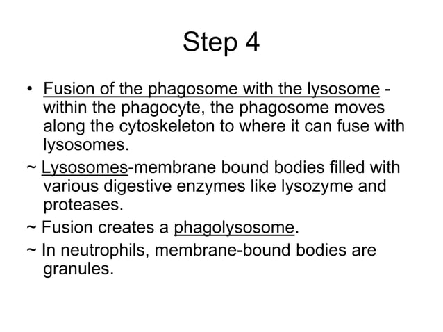 TOPIC PHAGOCYTOSIS SYSTEM IN IMMUNITY.ppt