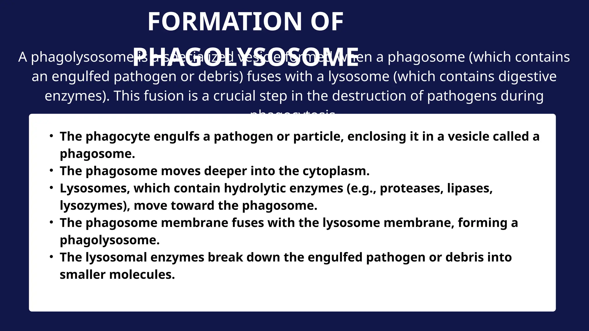 Mechanism of Phagocytosis detailed. note | PPTX