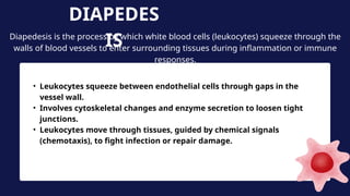 Mechanism of Phagocytosis detailed. note | PPTX