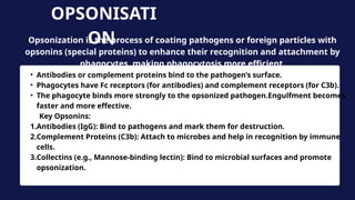 Mechanism of Phagocytosis detailed. note | PPTX