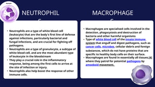 Mechanism of Phagocytosis detailed. note | PPTX