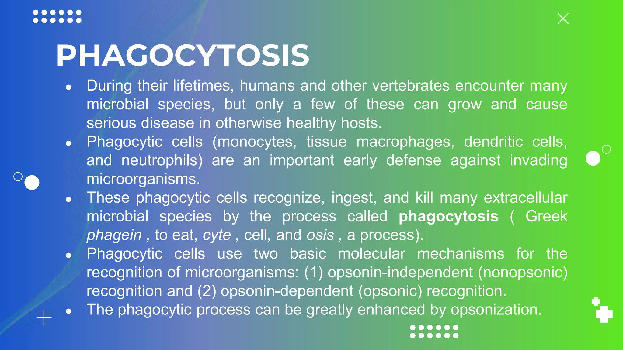 phagocytosis.pptx