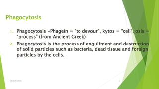PHAGOCYTOSIS, CMI, HMI K R.pptx