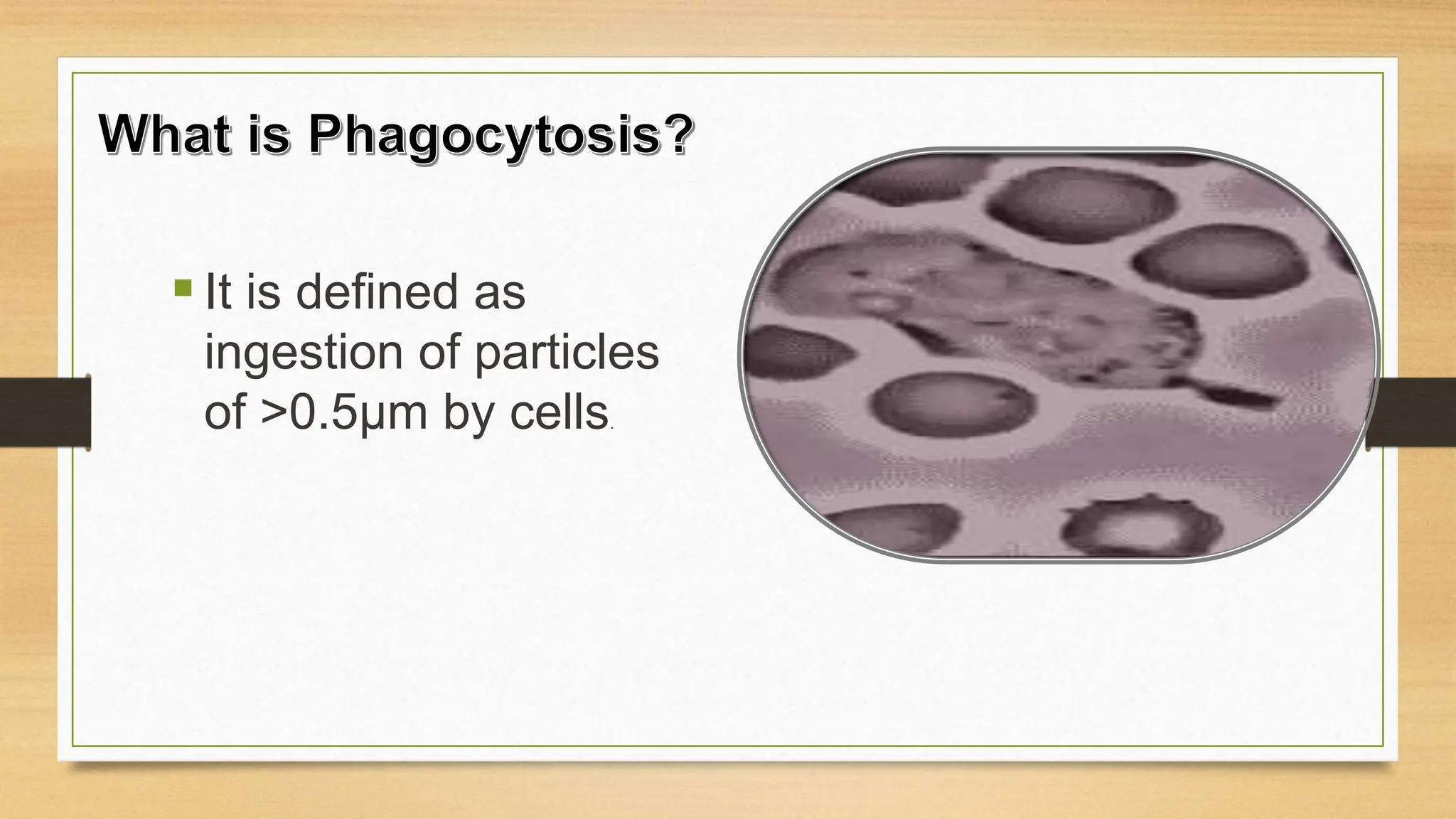 Phagocytosis Pinocytosis detail presentation | PPTX