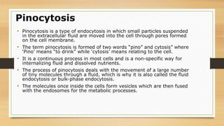 Phagocytosis Pinocytosis detail presentation | PPTX