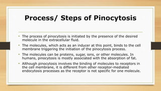 Phagocytosis Pinocytosis detail presentation | PPTX