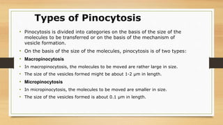 Phagocytosis Pinocytosis detail presentation | PPTX