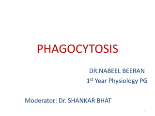 PHAGOCYTOSIS | PPTX