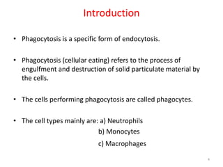 PHAGOCYTOSIS | PPTX