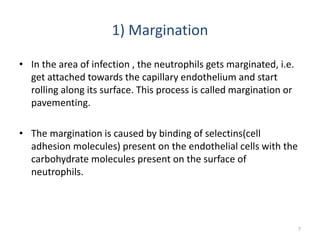PHAGOCYTOSIS | PPTX