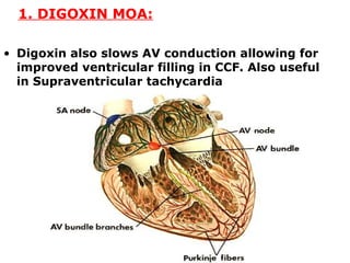 Phal2301lecture15 cardiacfailure | PPT
