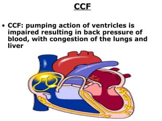 Phal2301lecture15 cardiacfailure | PPT