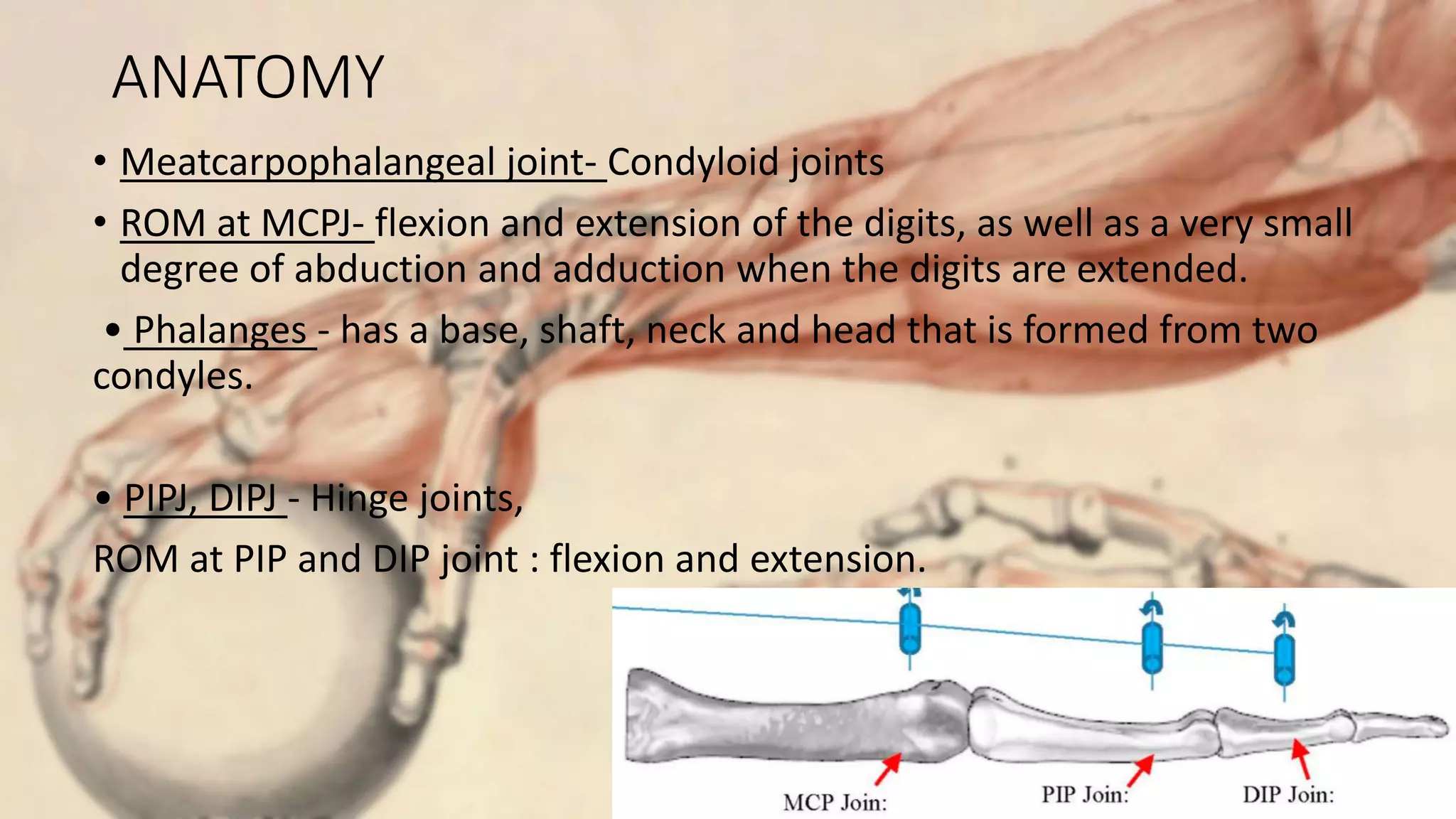 Phalangeal fractures of hand | PPTX