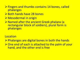 Phalanges of upper limb | PPTX
