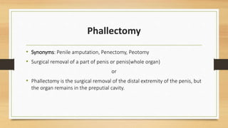 Phallectomy | PPTX | Surgery | Medical Health