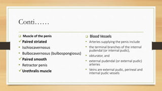 Phallectomy | PPTX