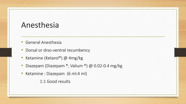 Phallectomy | PPT
