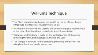 Phallectomy | PPTX
