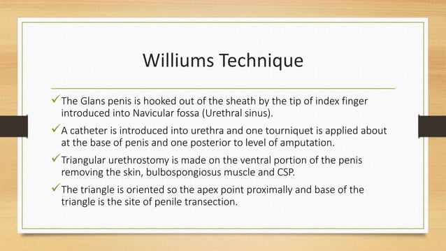 Phallectomy | PPTX | Surgery | Medical Health