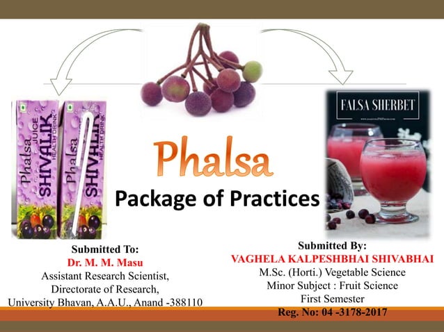 Phalsa | PPTX