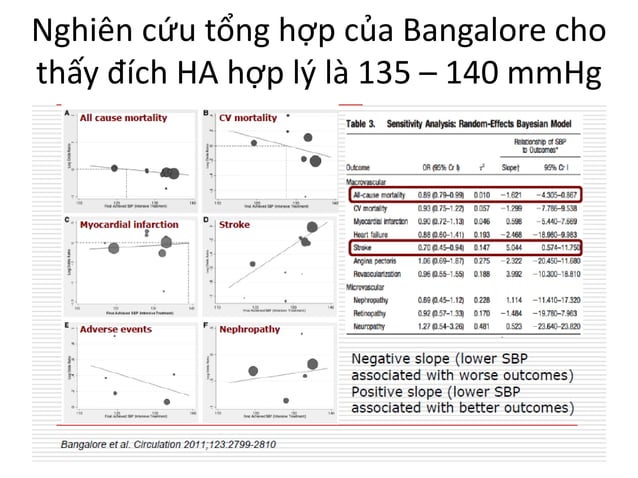 Pham manh-hung-toiuu-hoa | PDF