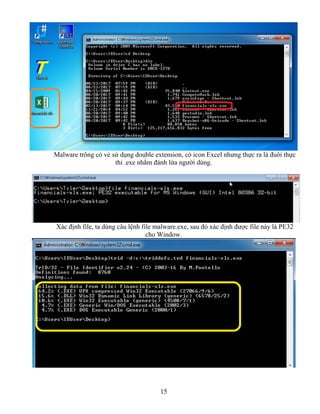 Phân tích mã độc cơ bản - báo cáo thực tập | PDF