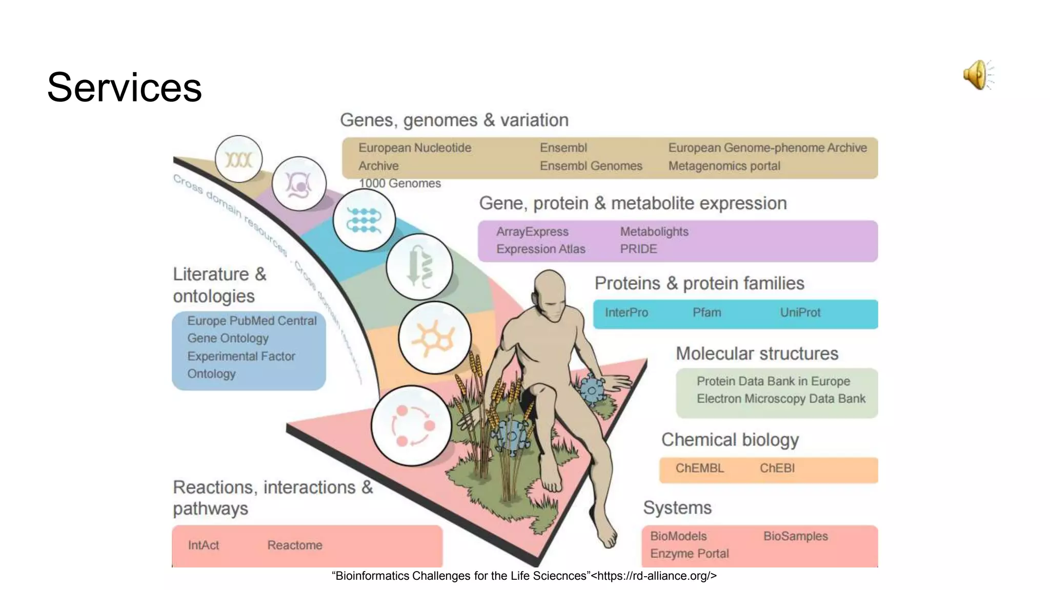 Pham yang embl-ebi | PPTX