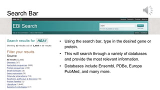 Pham yang embl-ebi | PPTX