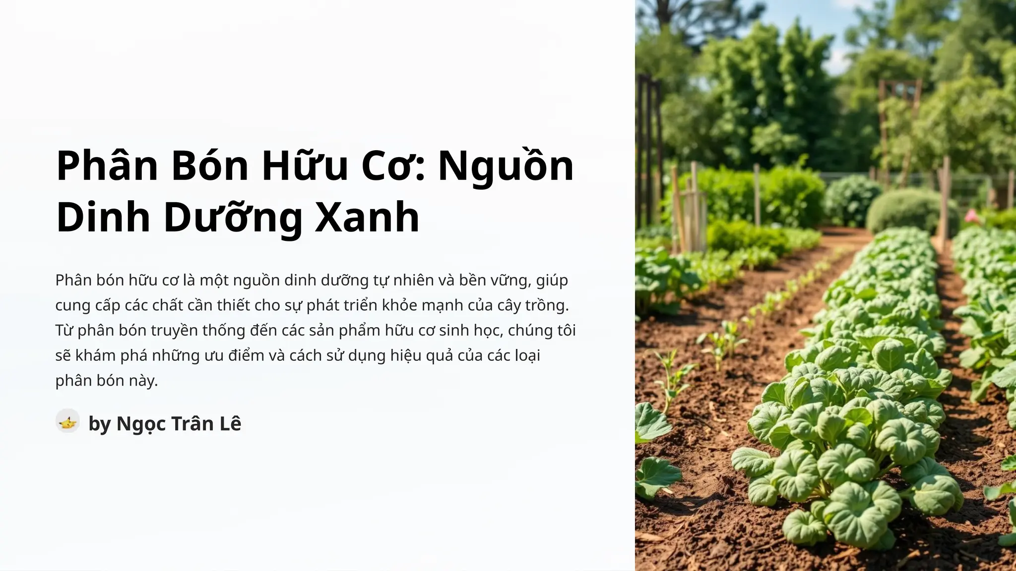 Phan-Bon-Huu-Co-Nguon-Dinh-Duong-Xanh.pptx
