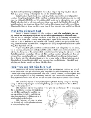 Phan a Trigger | PDF