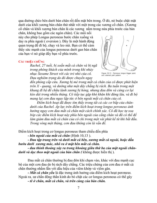 Phan a Trigger | PDF