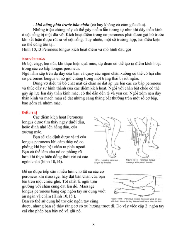 Phan a Trigger | PDF